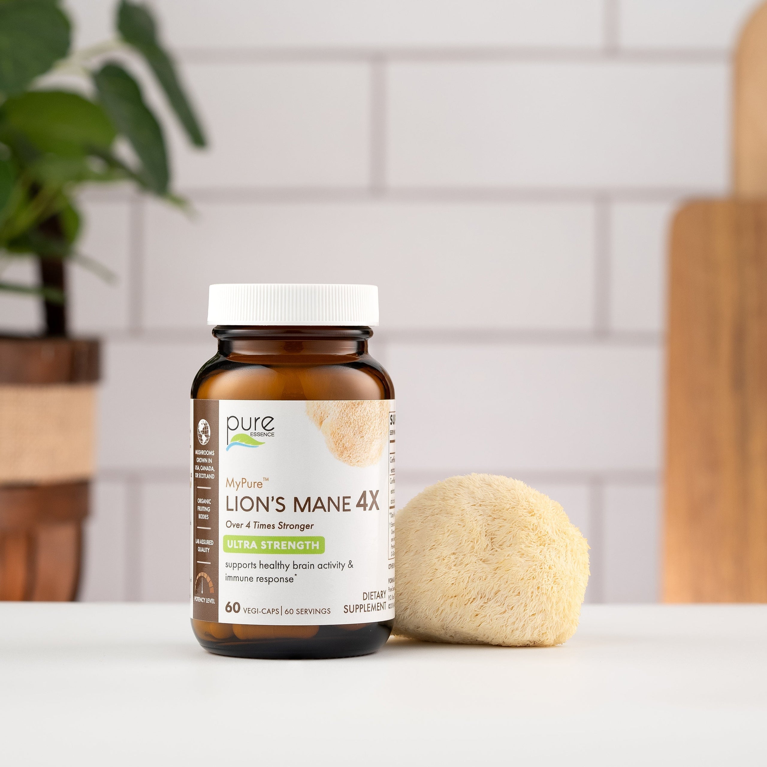 MyPure™ Lion's Mane 4X Organic Mushroom Supplement – Pure Essence Labs