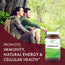 LifeEssence™ - Natural Multivitamin w/ Superfoods, Herbs and Minerals ...