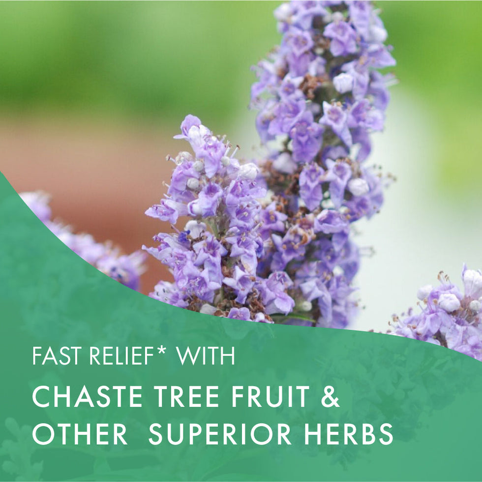 Transitions™ - Herbal Menopause Supplement for Hot Flashes – Pure ...